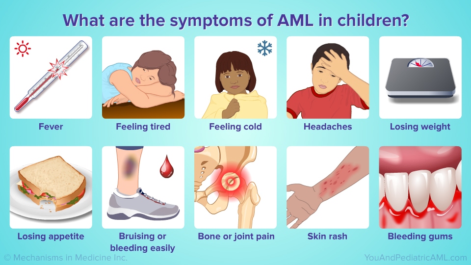 Signs And Symptoms Of Acute Myeloid Leukemia In Children - Ask The ...